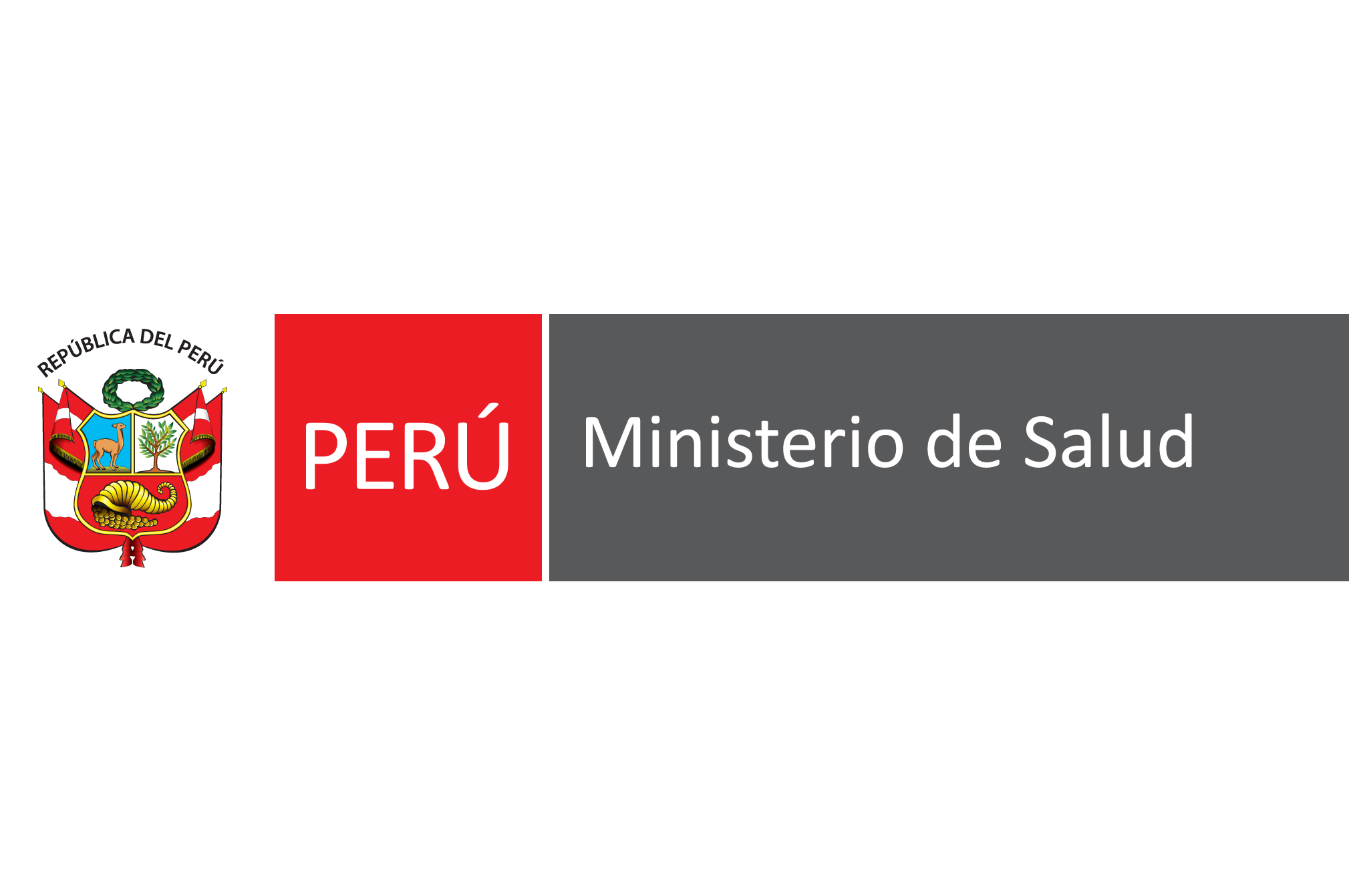PCM-Salud2 – SEIN DEL PERU
